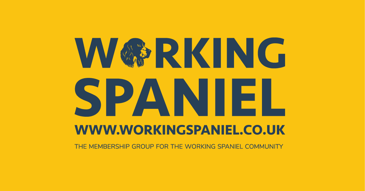 Working Spaniel